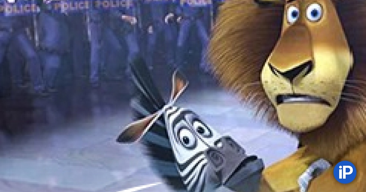 Zibri отвечает…