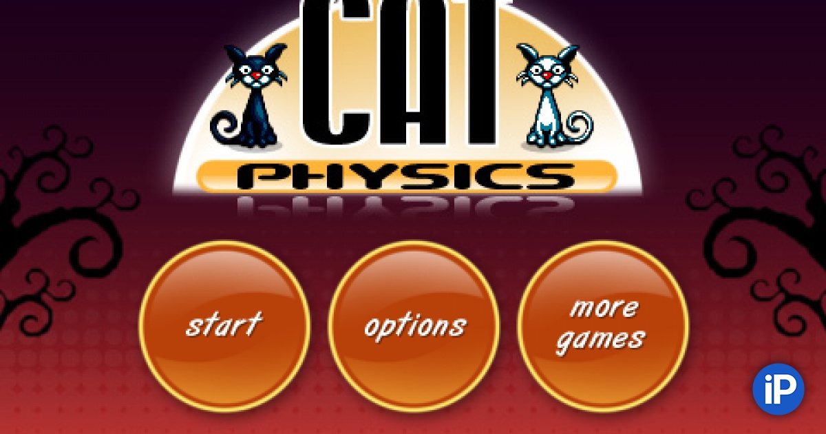 Cat Physics – свежие пончики, теперь про кошек