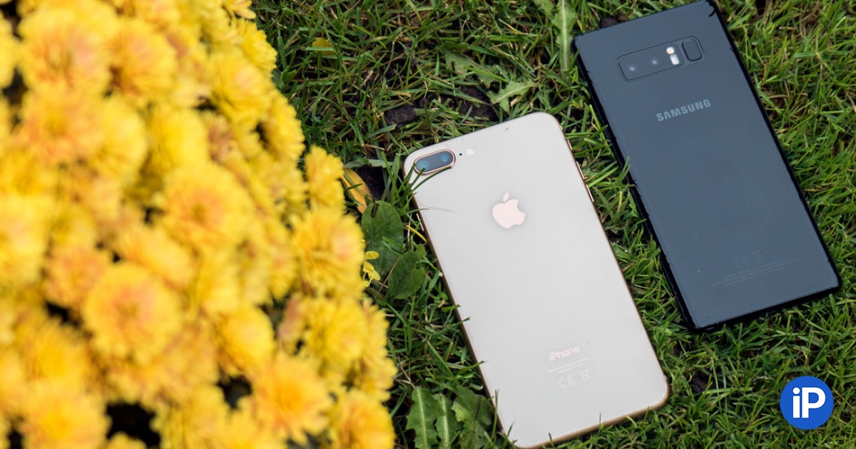 Фотобитва. Samsung Galaxy Note8 против iPhone 8 Plus